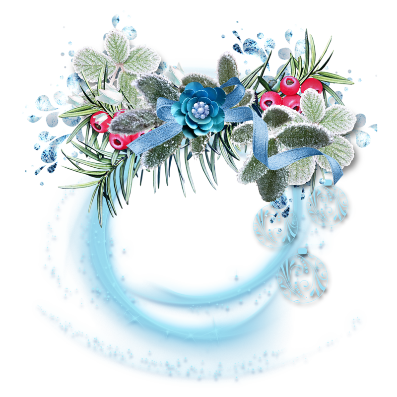 ForgetMeNot: cluster winter frames