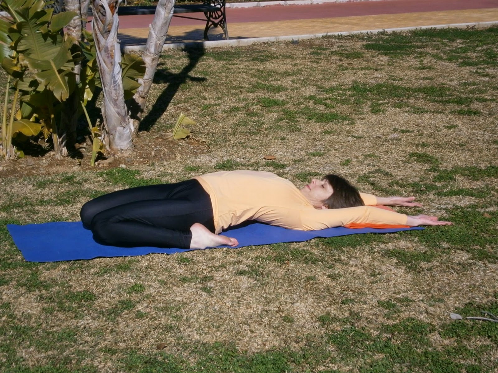 SENDERISMO, YOGA Y NATURALEZA: YOGA FÁCIL, Asanas: Medio Loto, El Árbol ...