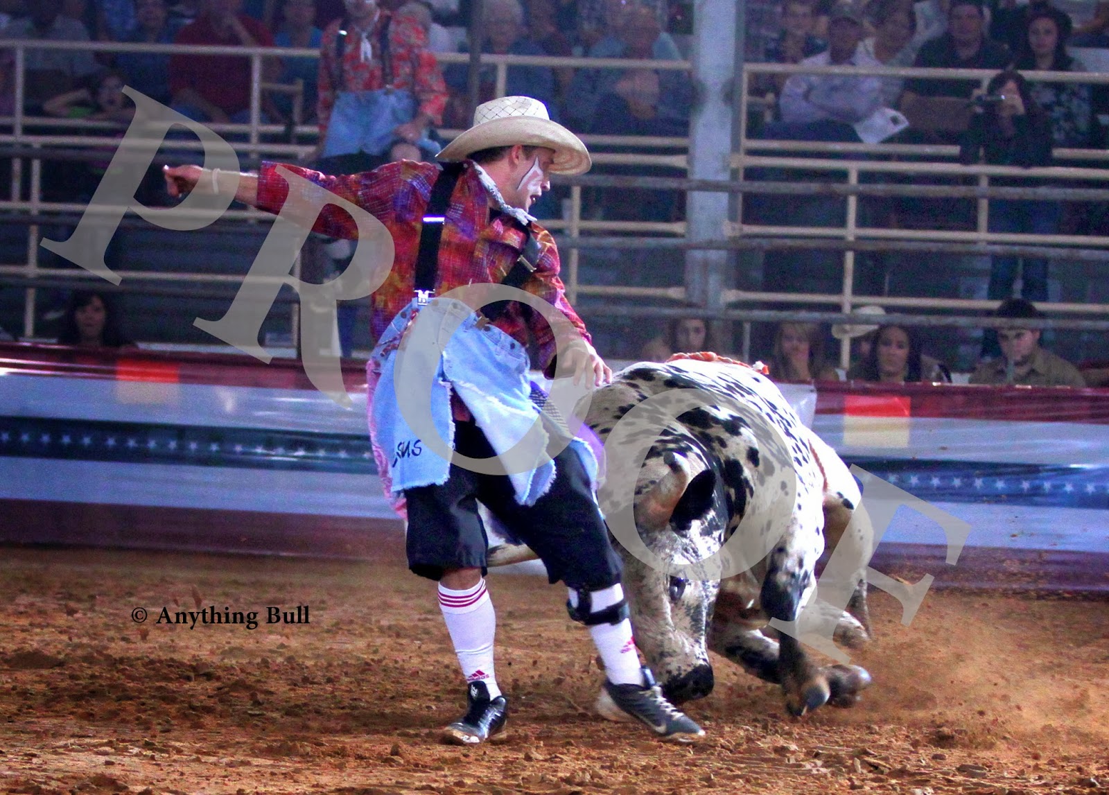 Anything Bull or Rusty: Friday Round 1 - Chuck Swisher