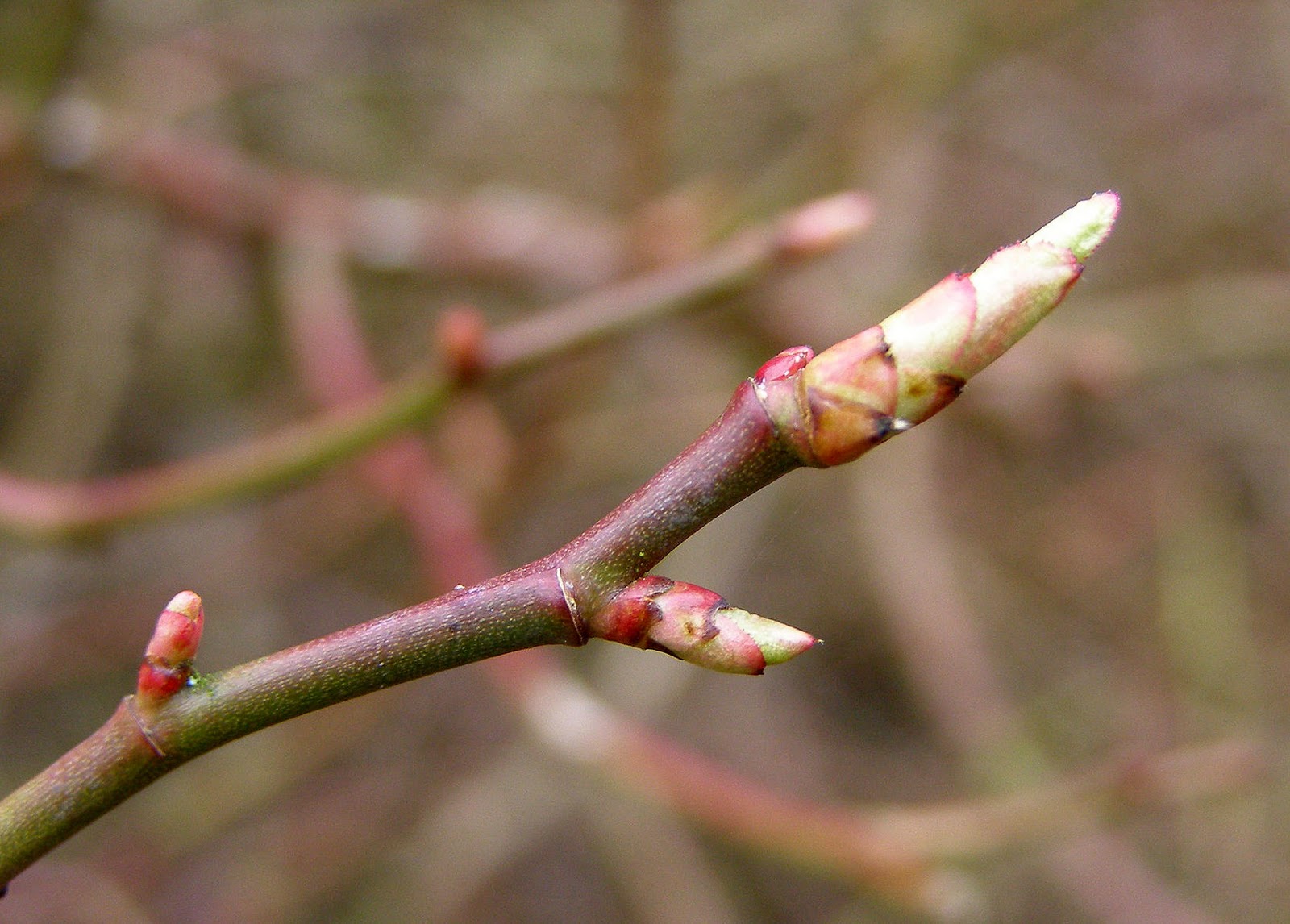 Random Jottings: February 2011