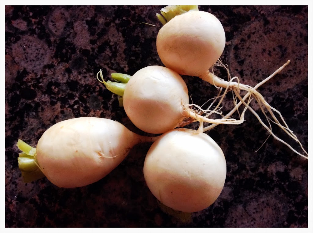 The Beer and Food Project: Kielbasa With Pickled Summer Vegetables ...