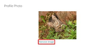 Customize your Blogger Profile