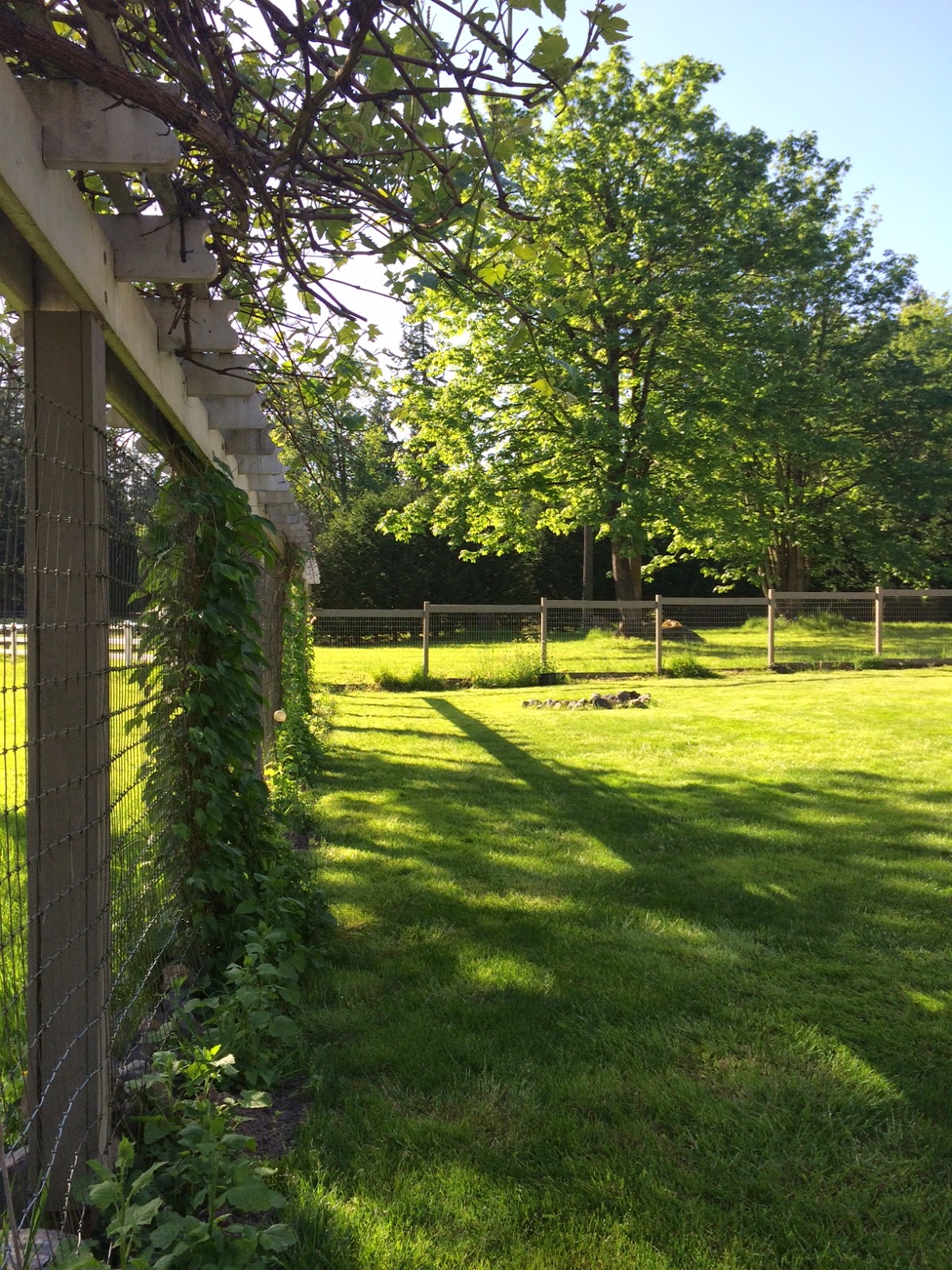 Little Farmstead: Our Farmhouse