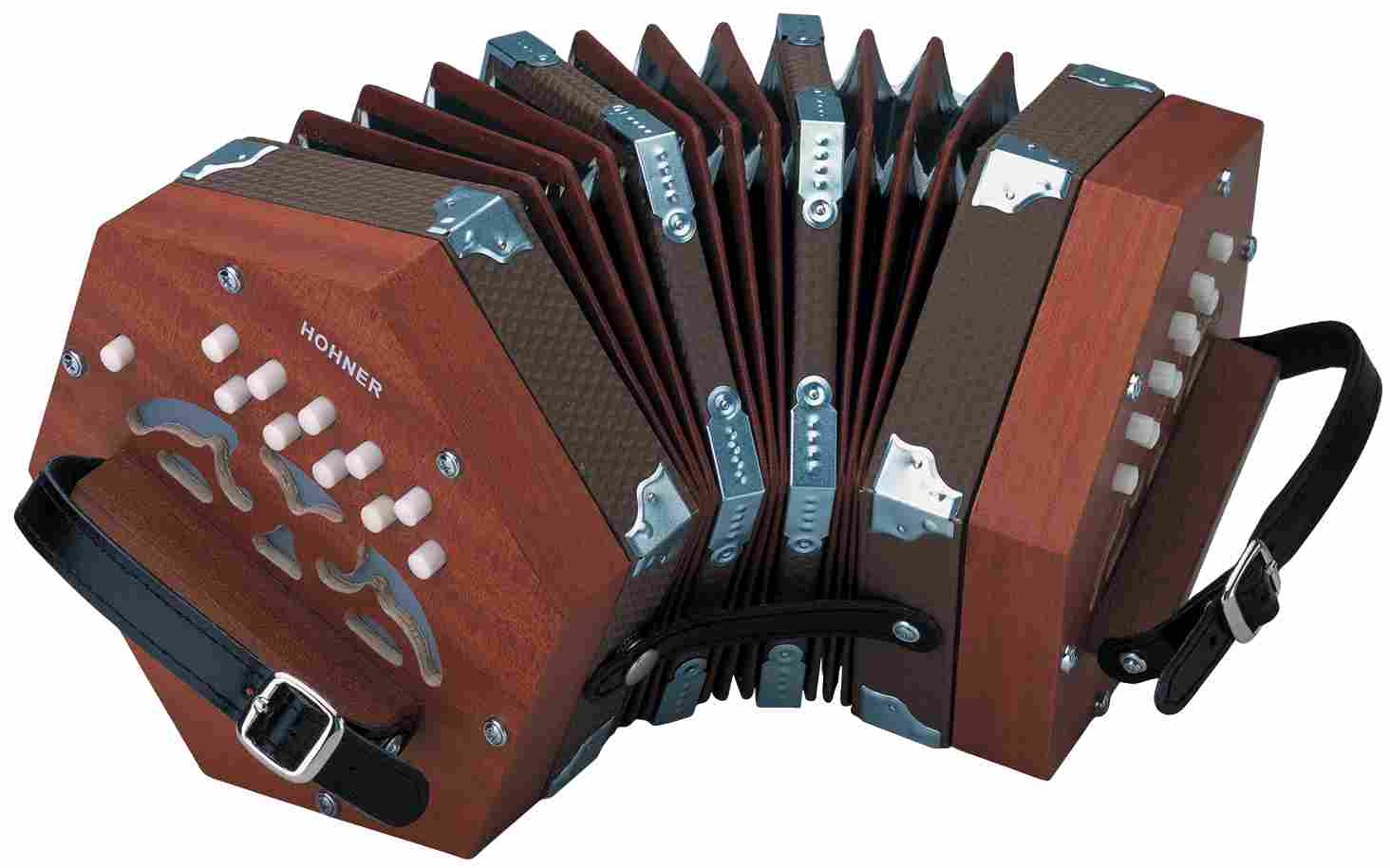 Lectii Acordeon