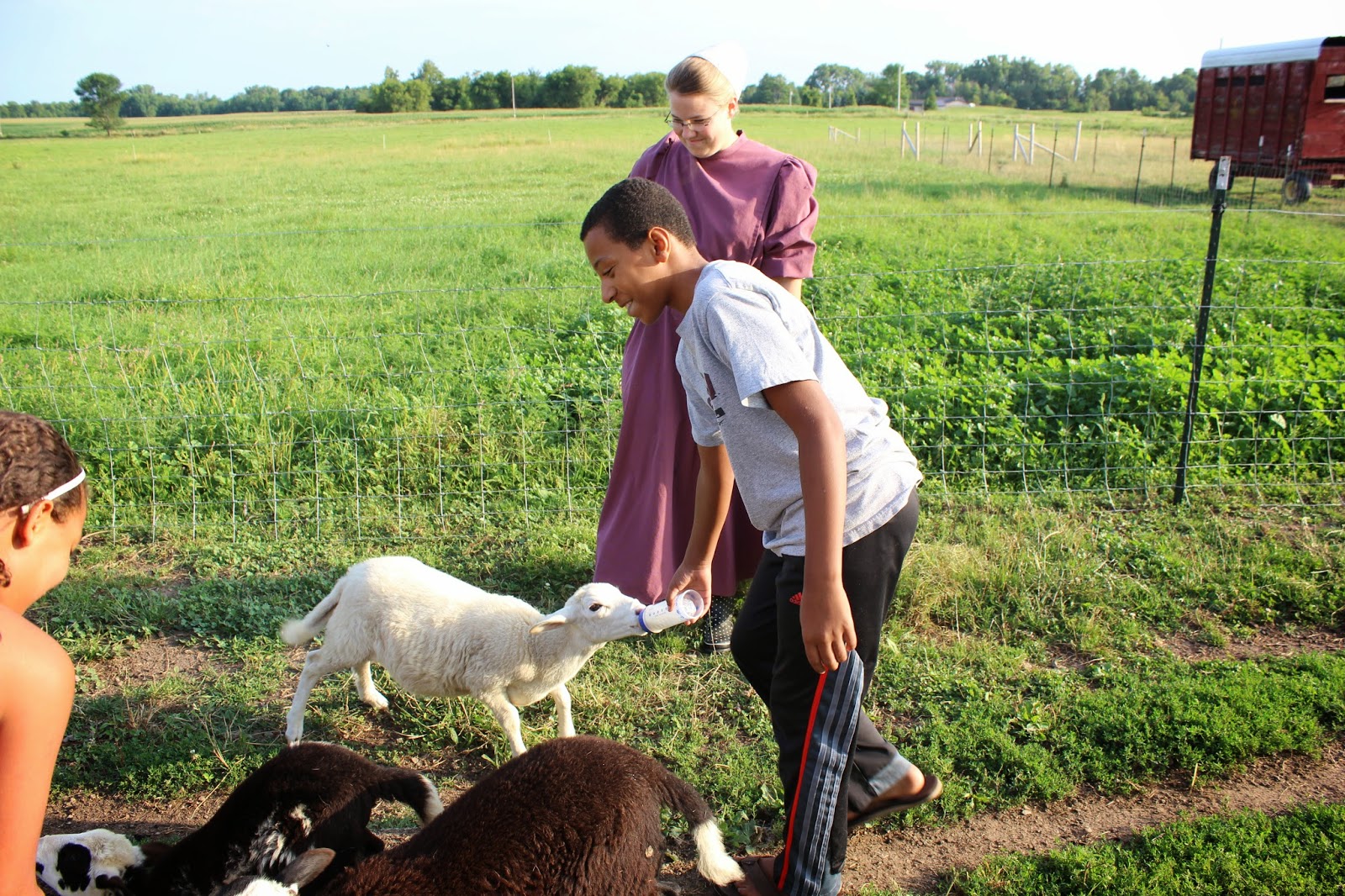 Half-Past Kissin' Time: Farm Fun!