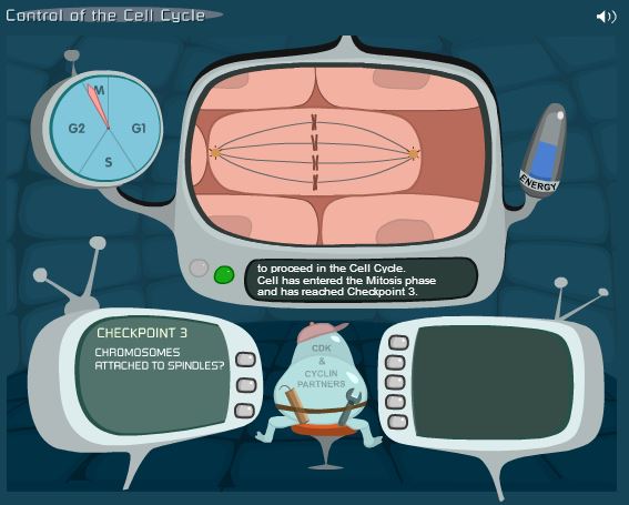 Science Games -- Adventurous Learning: The Cell Cycle, Cloning, and ...
