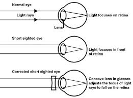SCIENCE (FORM 2): Chapter 1 Science Form 2