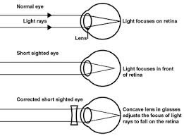 SCIENCE (FORM 2): Chapter 1 Science Form 2
