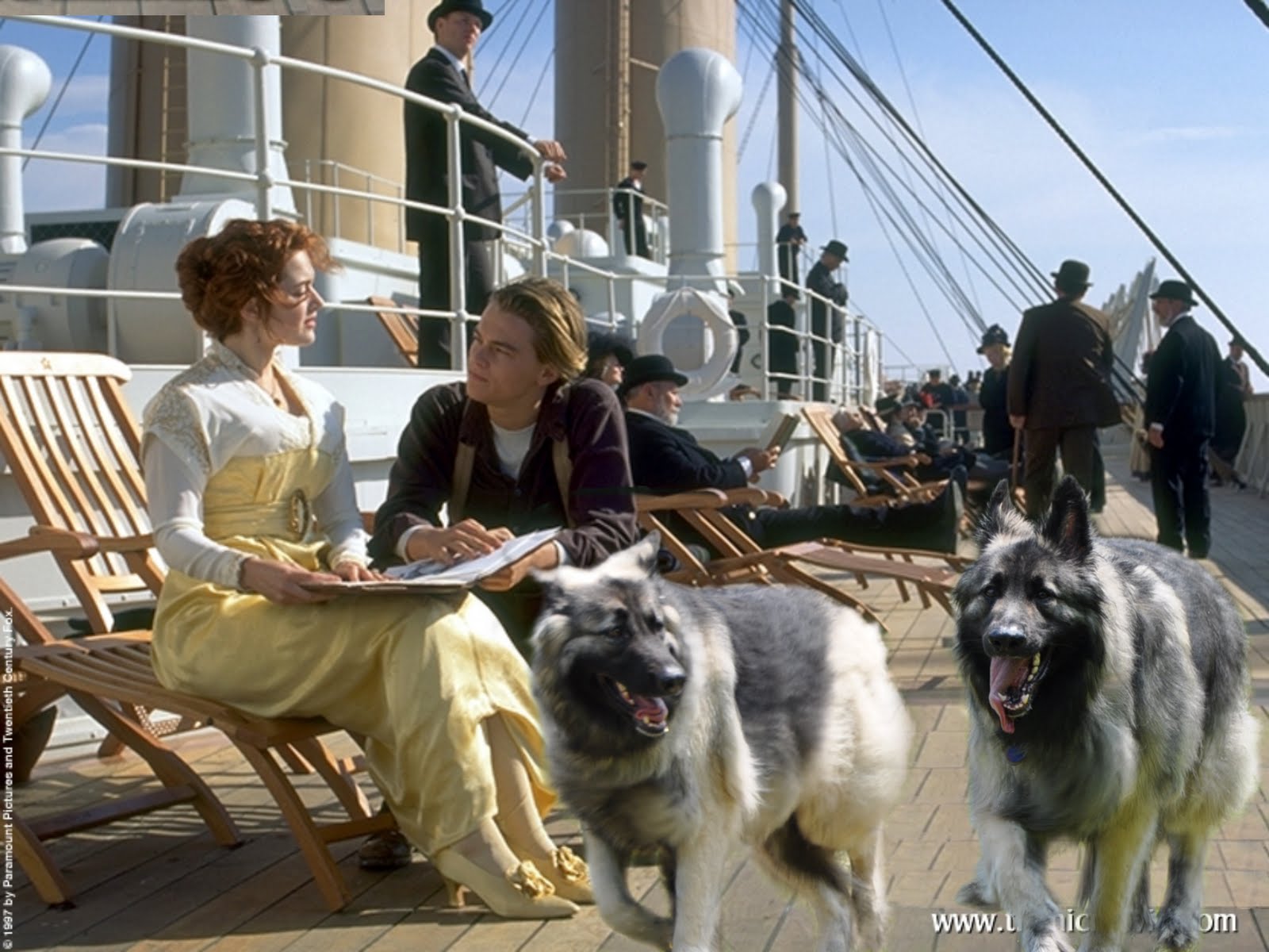 Cooper's Shiloh Shepherd Blog: Famous Movies - featuring ISSR Shiloh ...