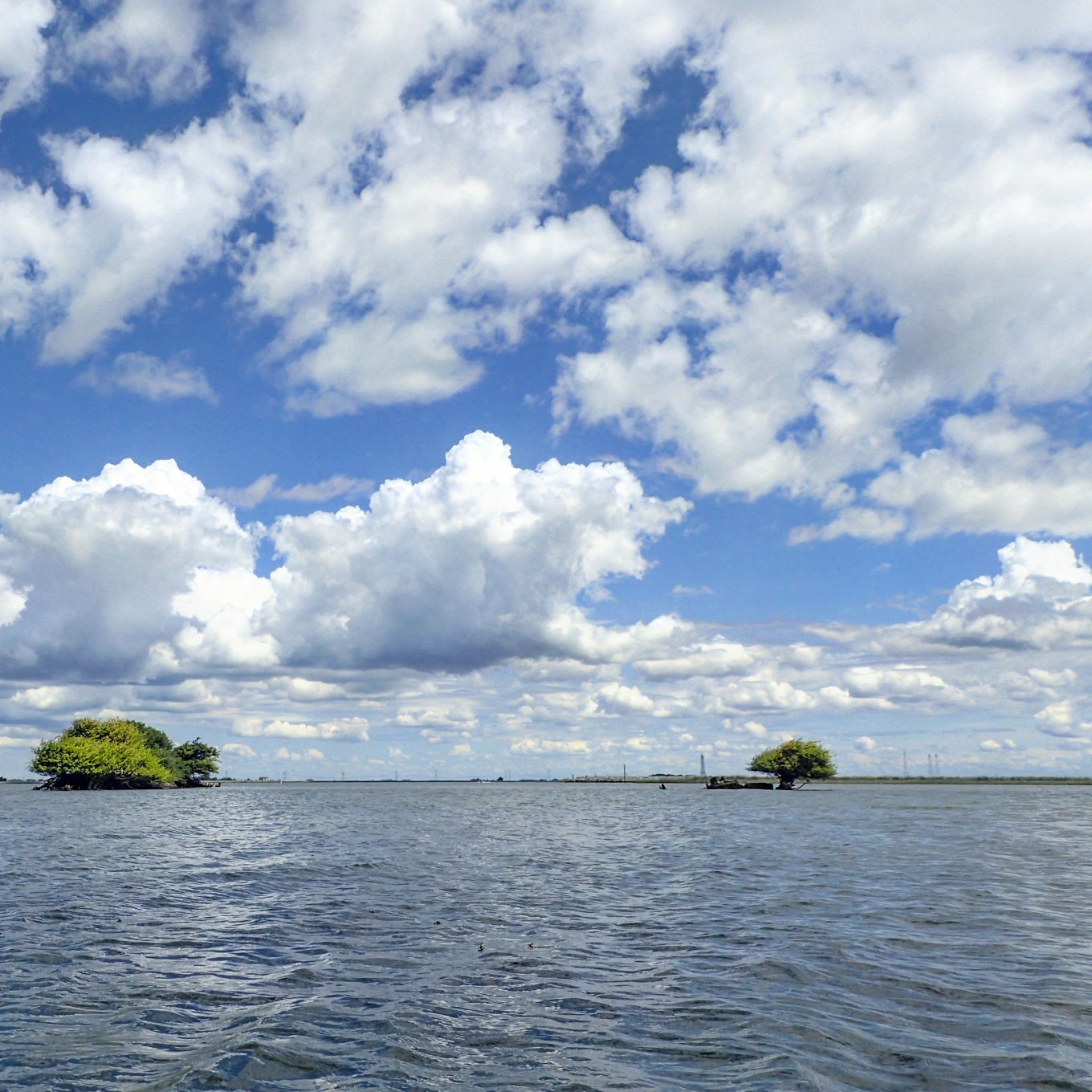 Kayaking the California Delta: Paddling and More Paddling