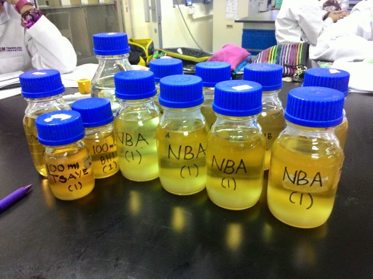 Lab IBG102: Lab 3: Preparation and Sterilization of Culture Media