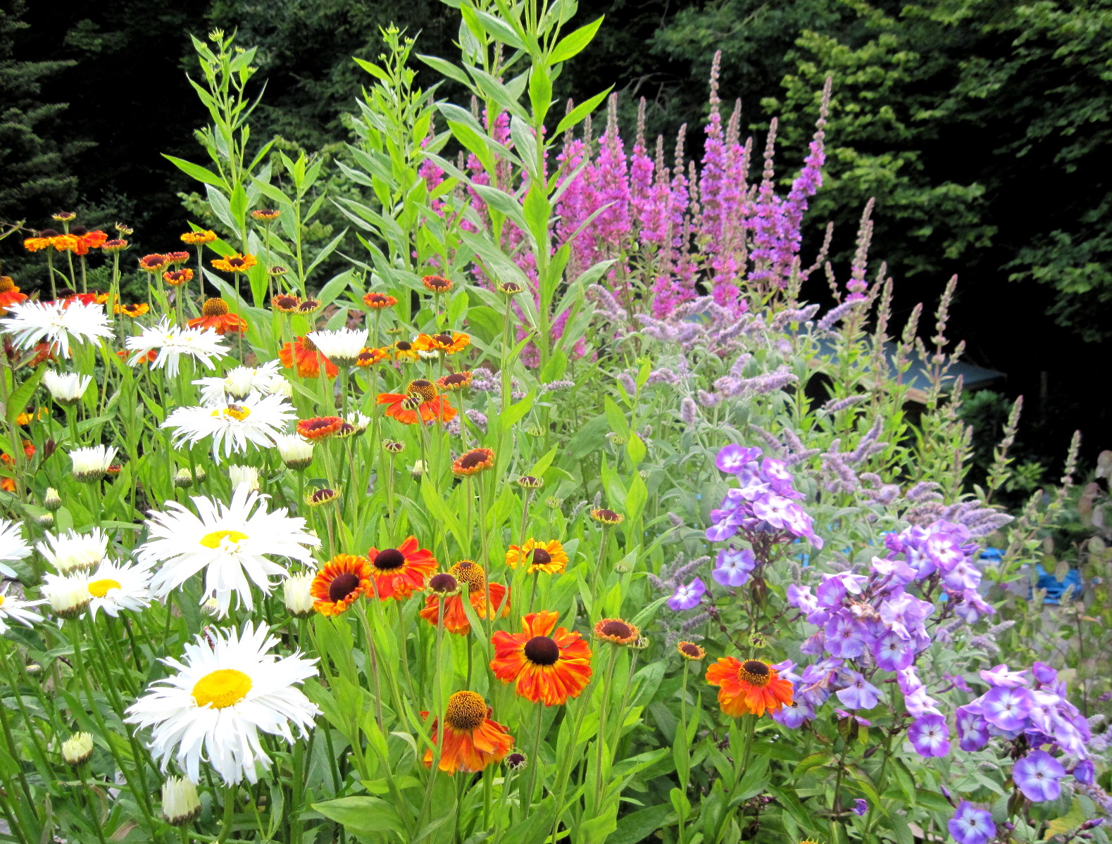 Flutterby Patch: July 2011