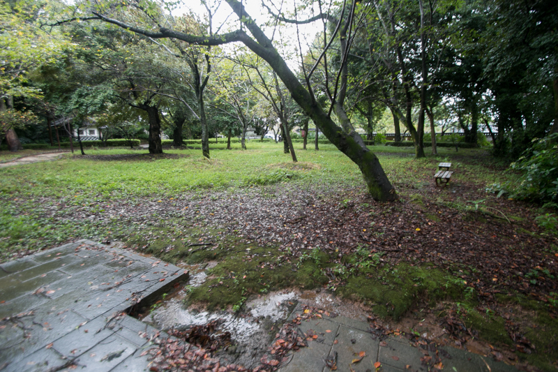 Kushima Castle -Island castle with port and wet dock- | Japan Castle ...