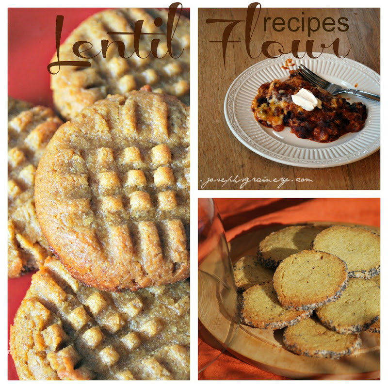 Josephs Grainery Top 3 Lentil Flour Recipes