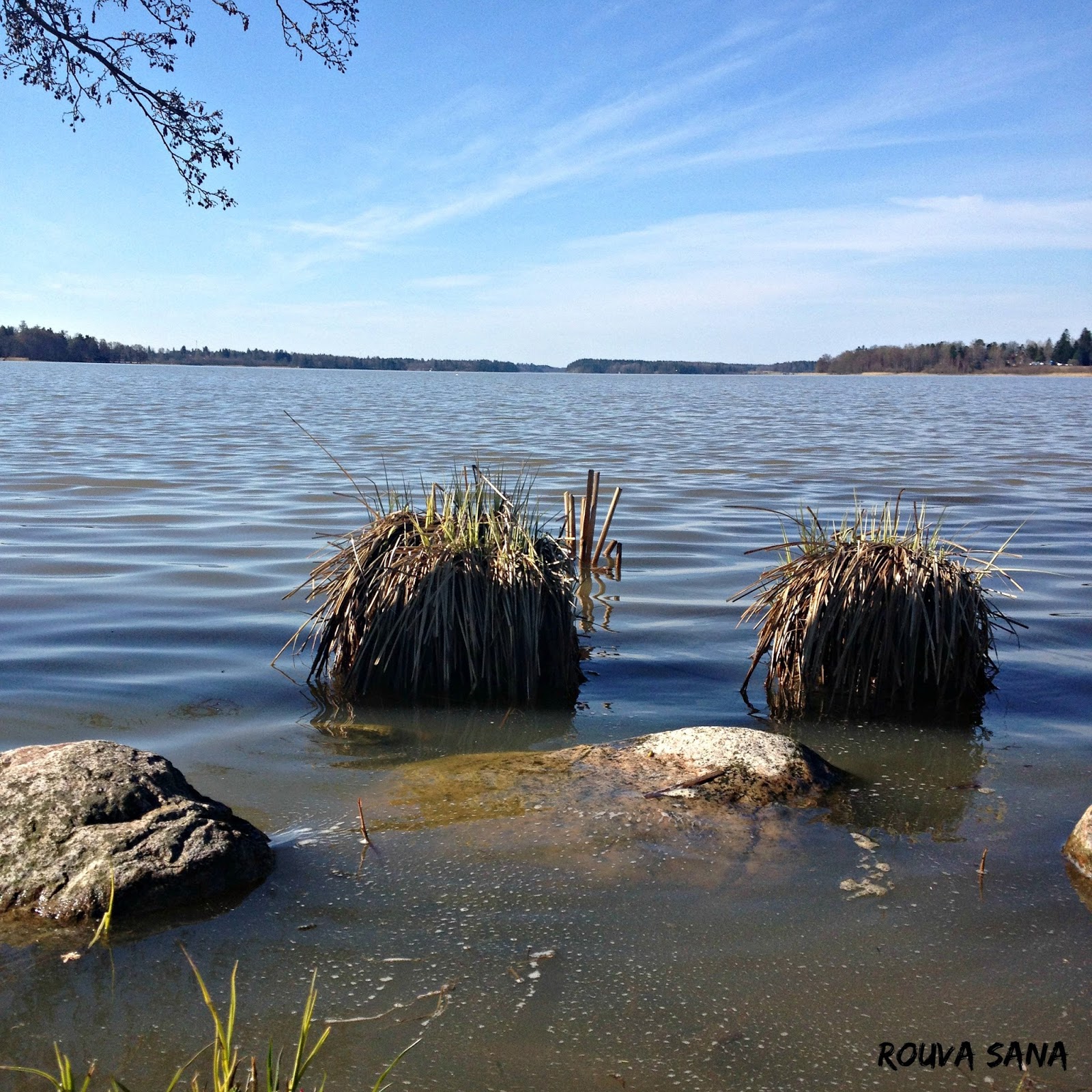 Keltainen toukokuu | Rouva Sana, vapaalla