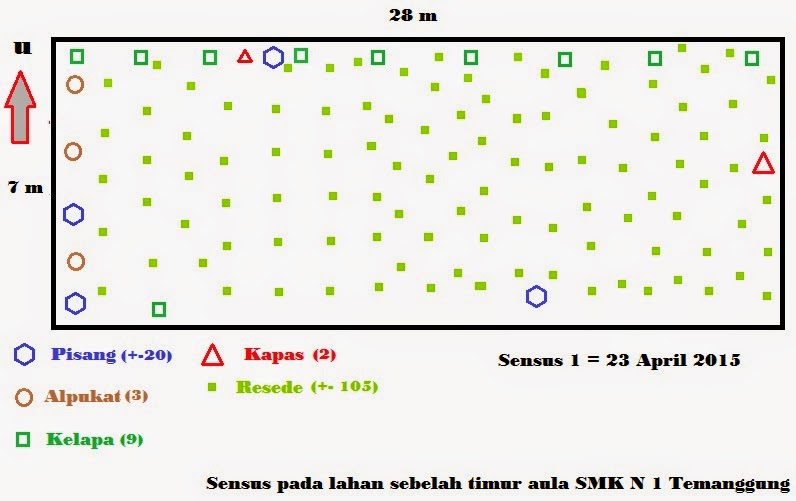 dodiagro: MAKALAH TENTANG SENSUS TANAMAN