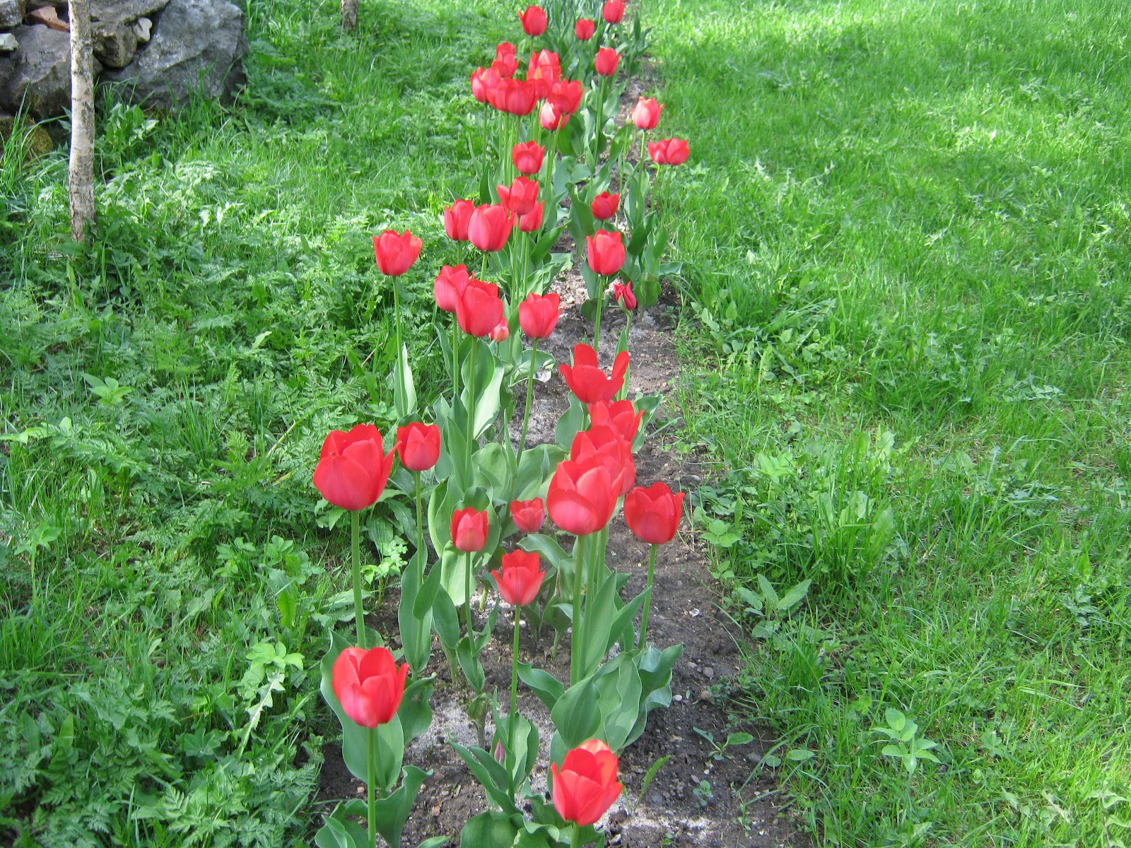 Mai Kalda aiablogi: 2012