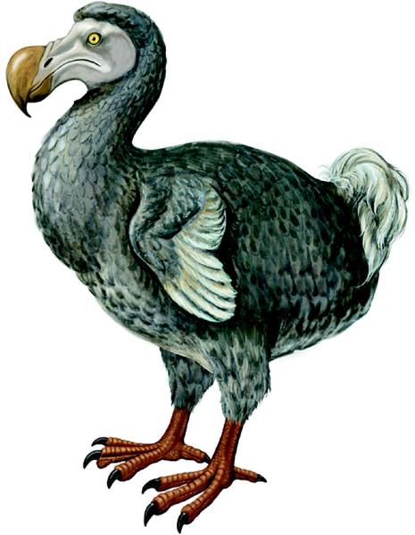 Mitoslavia: Zwierzęta Afryki