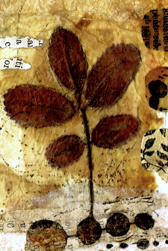 Letting in the Light: Collage - Take 2