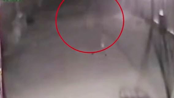 Phantoms and Monsters - Real Cryptid Encounter Reports - Fortean ...