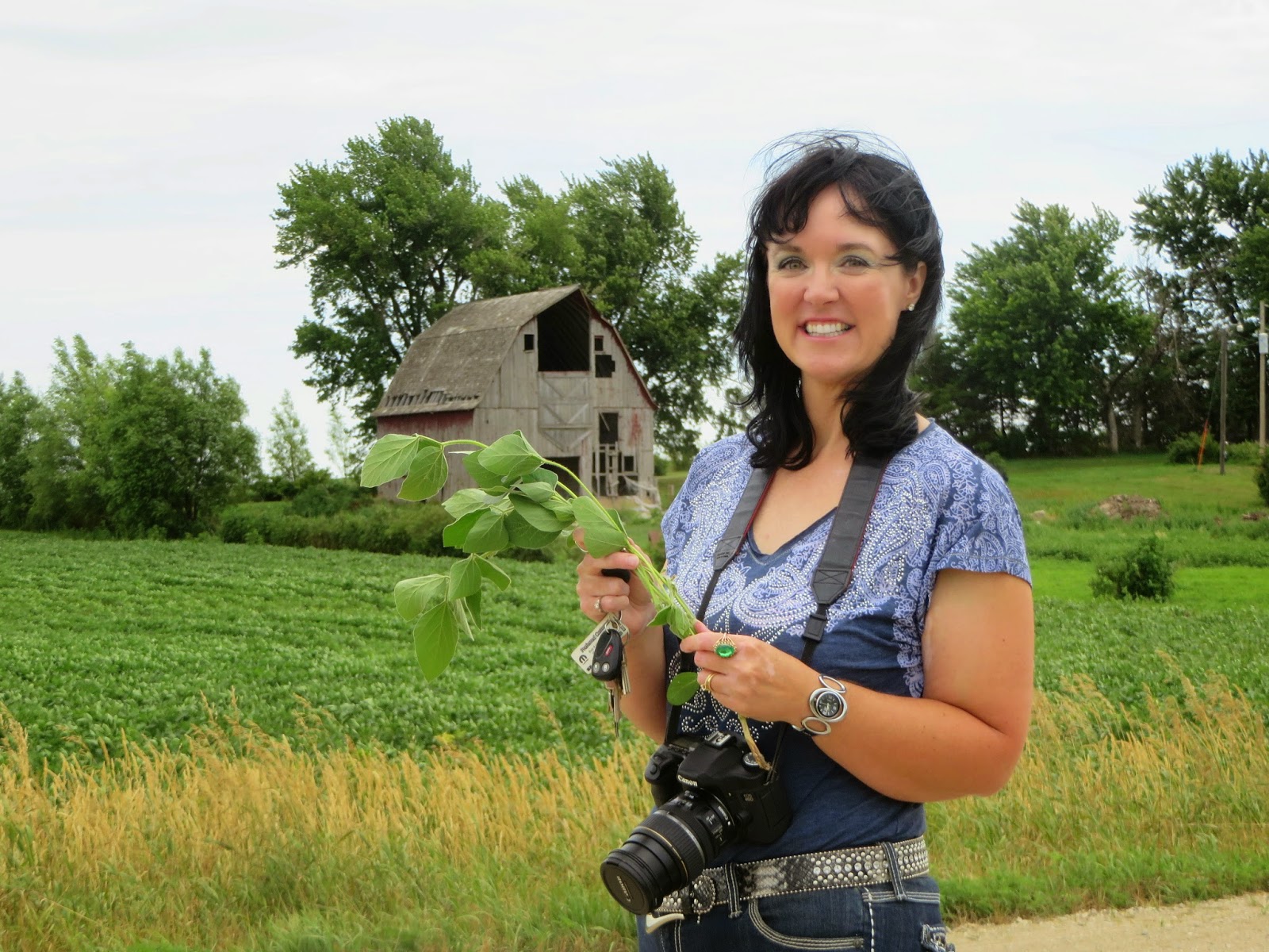 Maulsby's Musings from Calhoun Co., Iowa