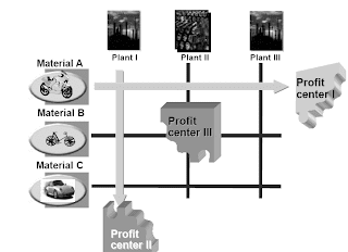 SAP Profit Center Basic Structure Continued - SAP ABAP
