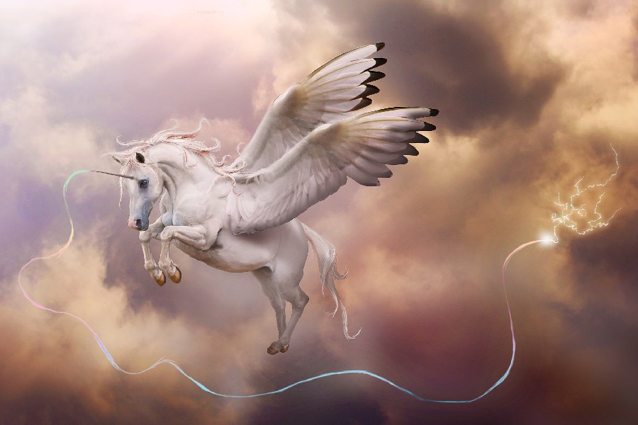 Il Rifugio degli Elfi: Ali Fantasy - Intervallo del Fine Settimana