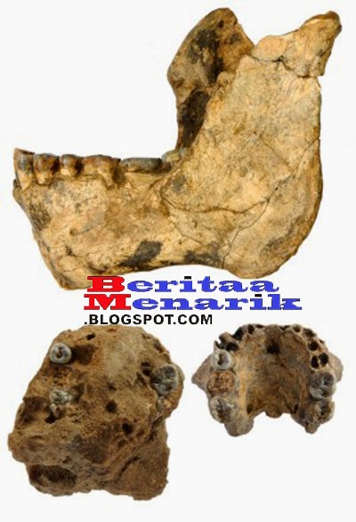 Penemuan Fosil Terbesar Di Dunia