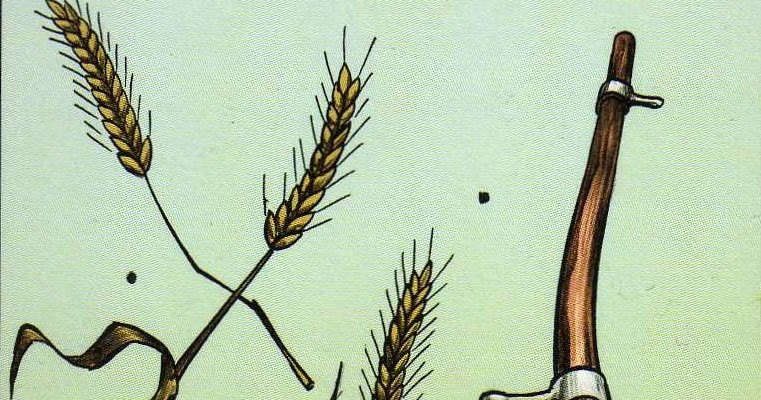 Meu Universo Pessoal ::.: A Foice