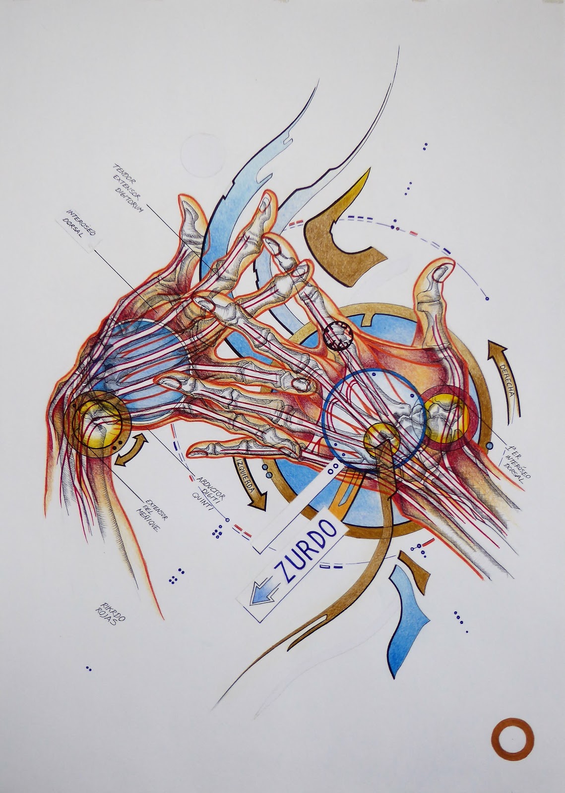 RIKRDO ROJAS : BIOMECHANICS - PLATE06 (Proyecto Génesis)