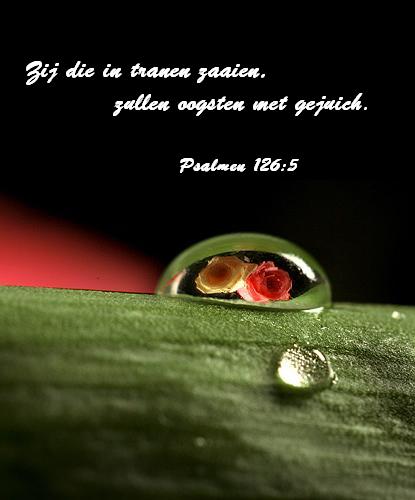 Wandeling met God: Tranen van verdriet ... Wandeling met God: Tranen van verdriet ...