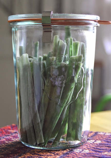 Pacific Rain: preserved 2014: candied angelica stems