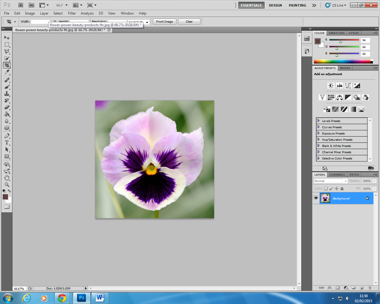 Photography: AO2- Photoshop Task (Cropping an image)