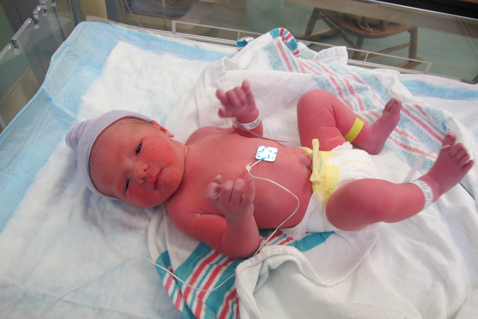 The Growing Season: A Pregnancy in Pictures