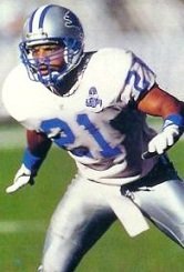 Detroit Lions 345 15: The History of the Detroit Lions in the Playoffs ...