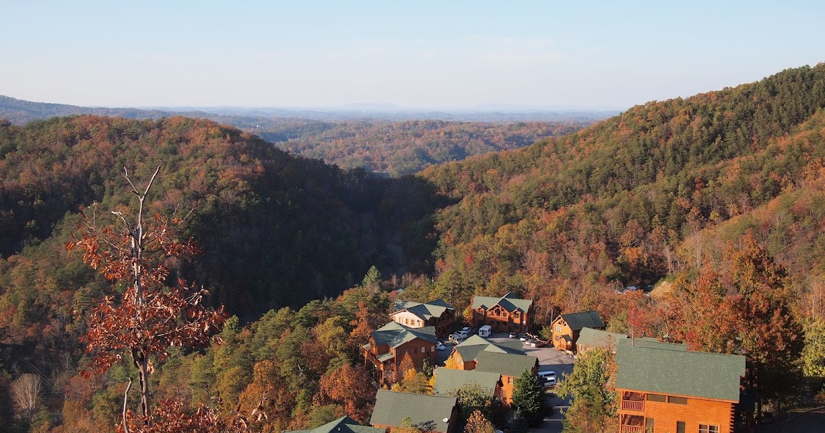 View From The Porch: The View From the Porch...