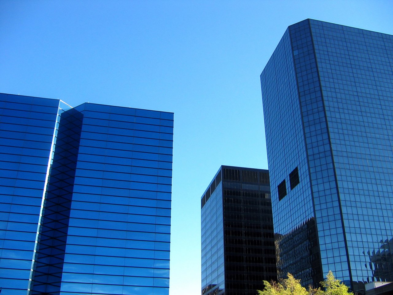 130 Cate Brown: Rectilinear and Curvilinear Shapes