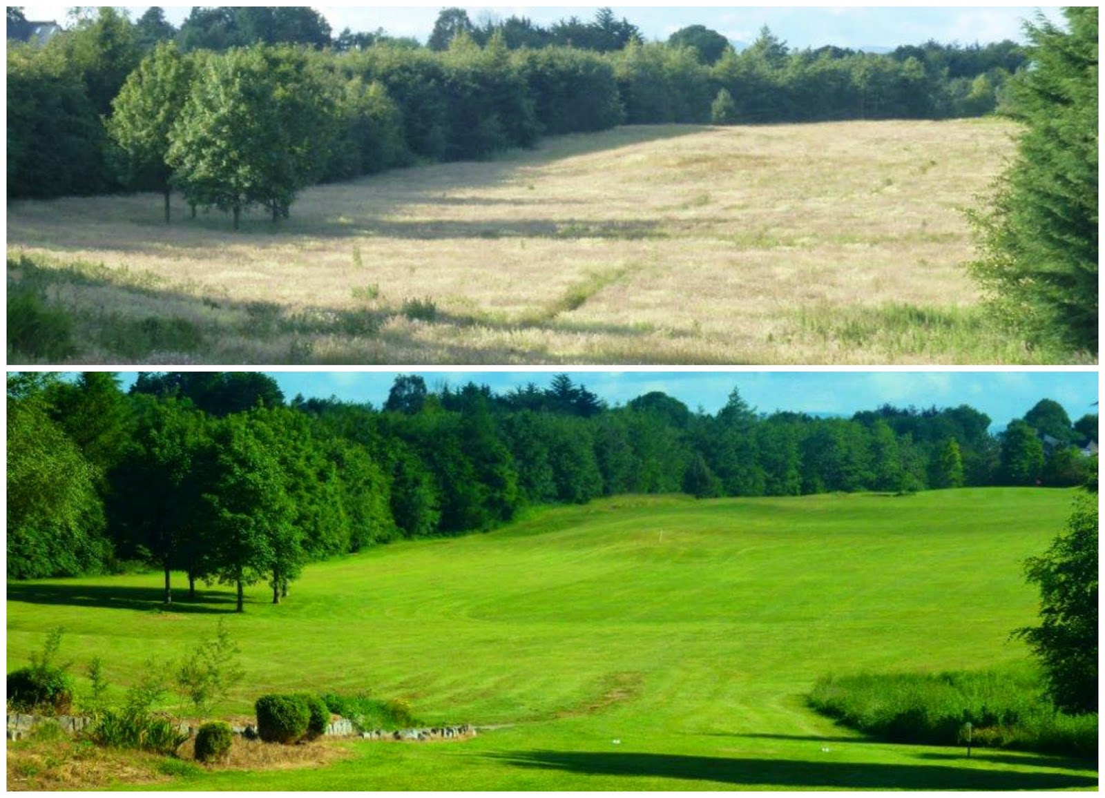 Hooked: Ireland's Golf Courses: Ballyneety GC - The Tale of Two Years