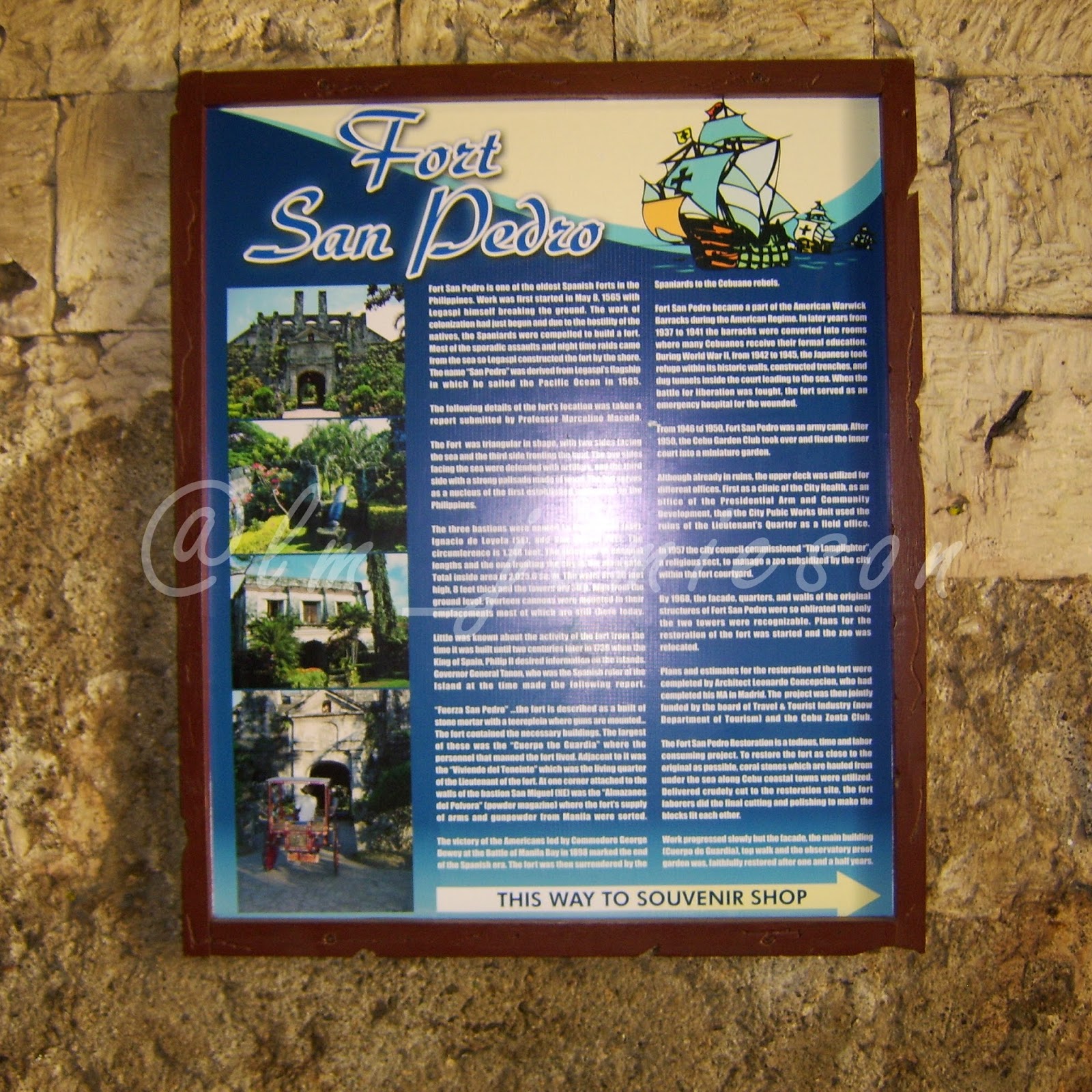 Lin-Marie Jamieson: May 2015