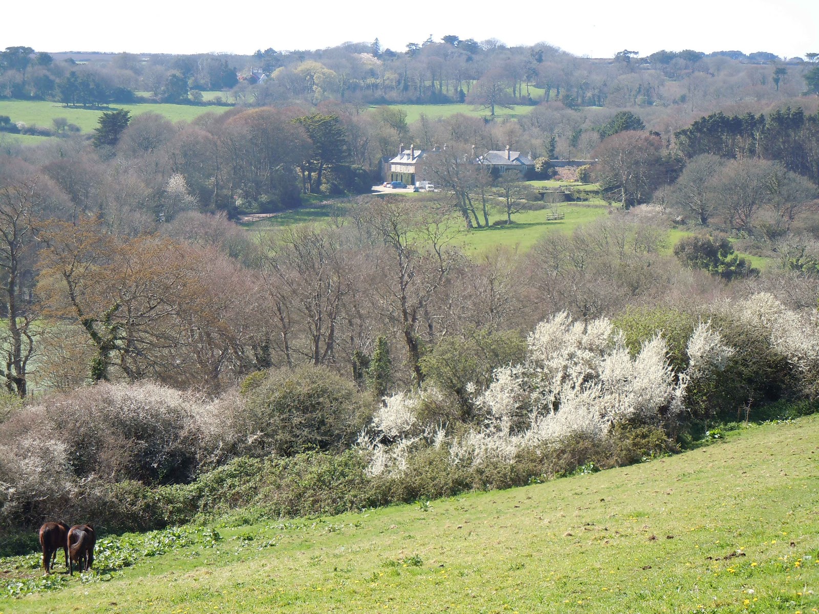 Photographic Allsorts: Countryside Near Newlyn Cornwall