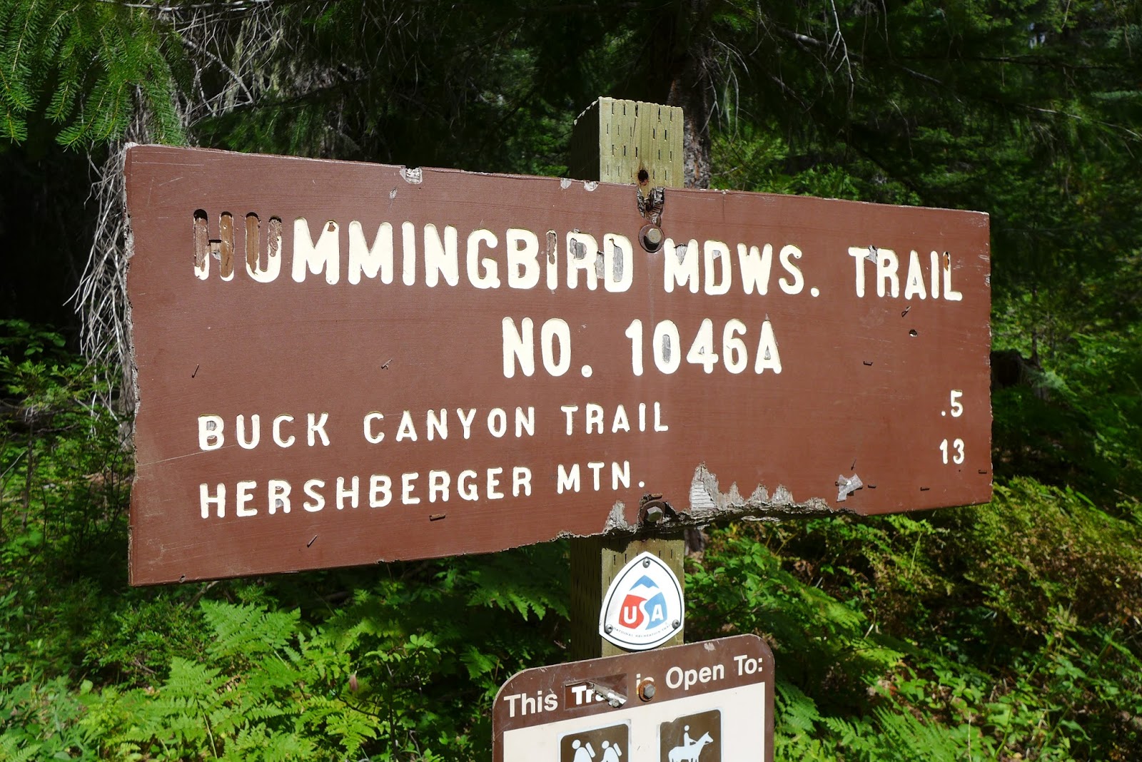 Glenn & Carol's Hiking Adventures: Hummingbird Meadows & Buck Canyon Trail
