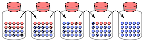 Natural Selection vs. Genetic Drift