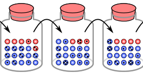 Natural Selection vs. Genetic Drift