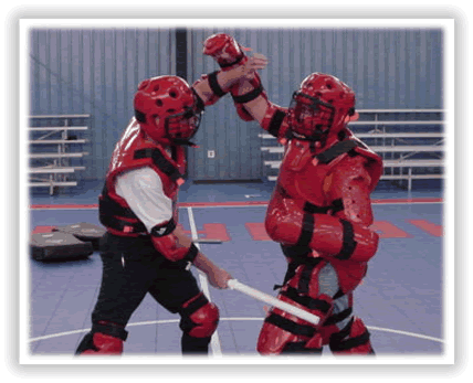 Thai Self-Defense: Target Area of Baton Strike