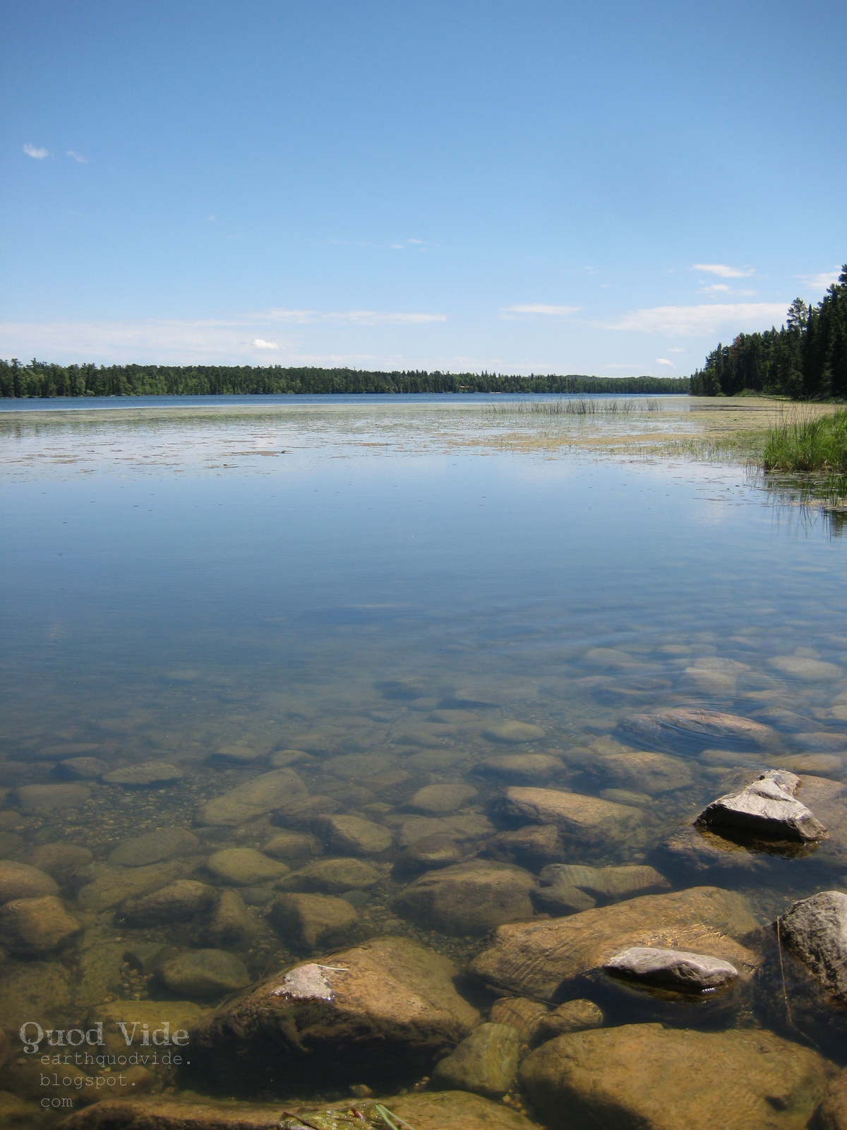 Quod Vide: Minnesota is Epic (Expanded Version)