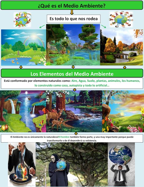 Medio Ambiente; Concepto, Definición y Significado