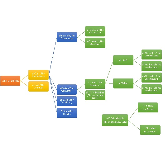 Types of madd | Learn Arabic Amman