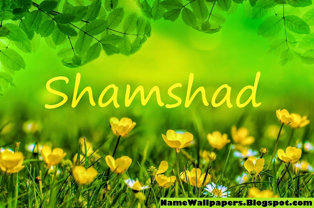 Shamshad Name Wallpapers Shamshad ~ Name Wallpaper Urdu Name Meaning ...