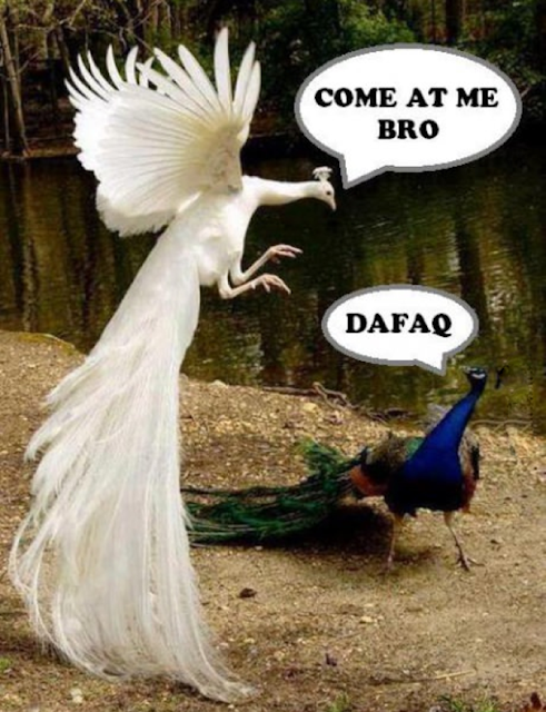 Hot EntertainMent: Hold Me Back Bro!