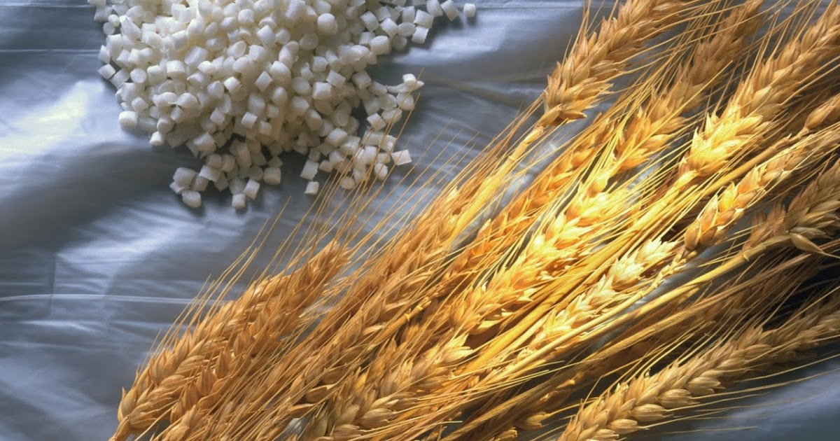 Ecopol Project - Portland State University: Sustainable vs Traditional ...